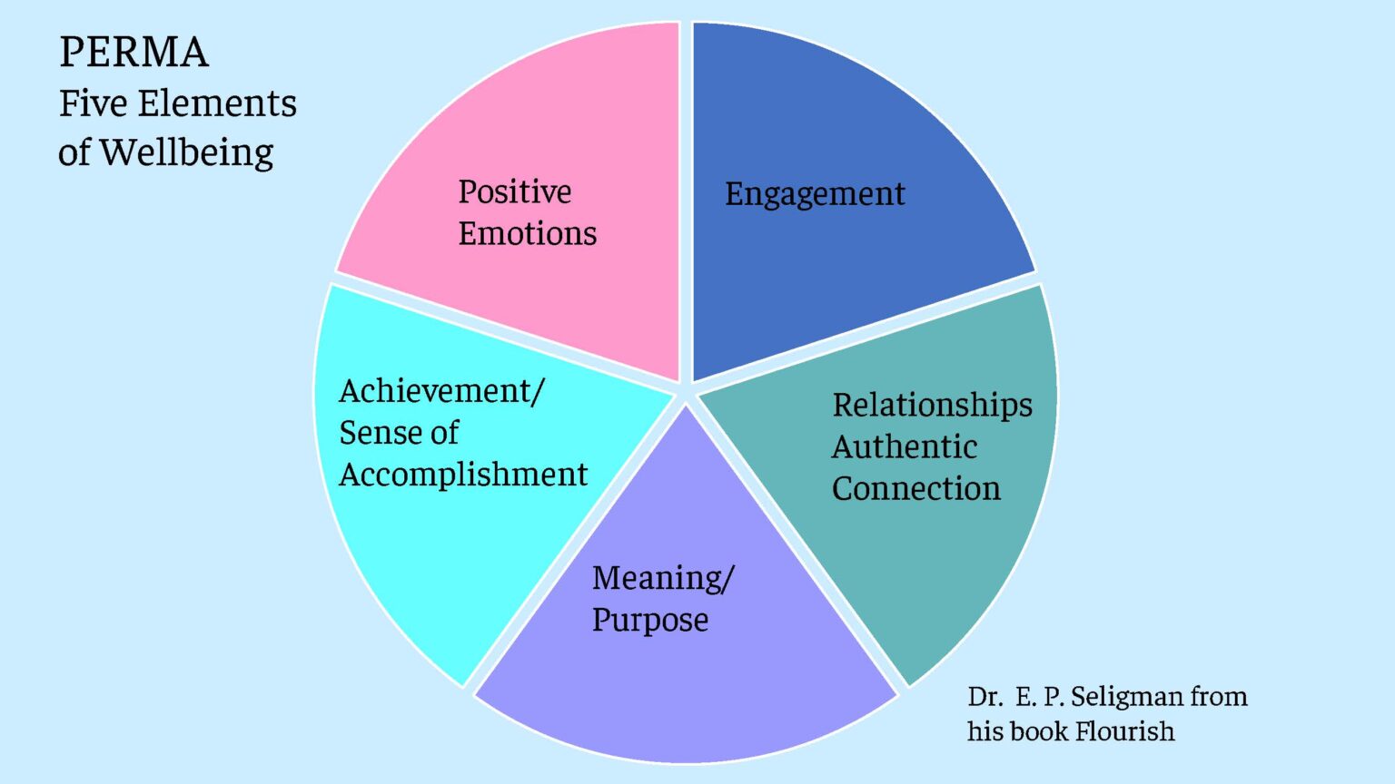 Invest in your Well-being – with the Lens of PERMA – The Nourished Executive